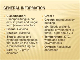 Candida Albicans.ppt