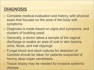 Candida Albicans.ppt
