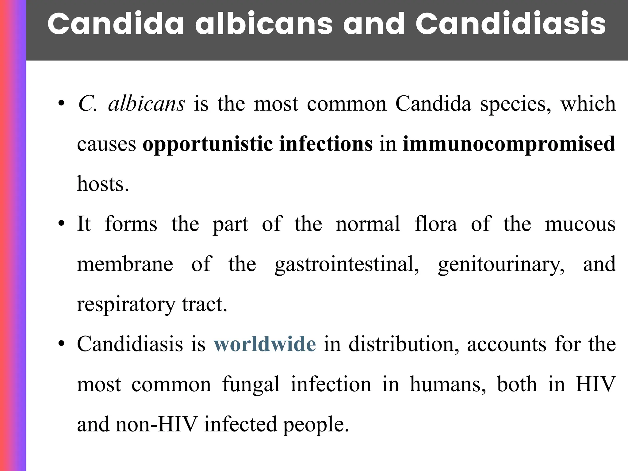 Medically Important Candida albicans.pptx