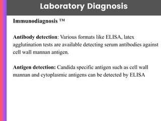 Medically Important Candida albicans.pptx