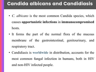 Medically Important Candida albicans.pptx