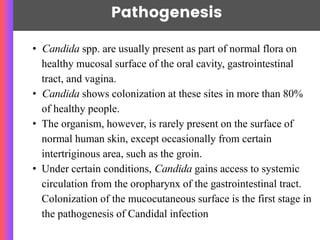 Medically Important Candida albicans.pptx