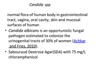 candida albicans (1).pdf