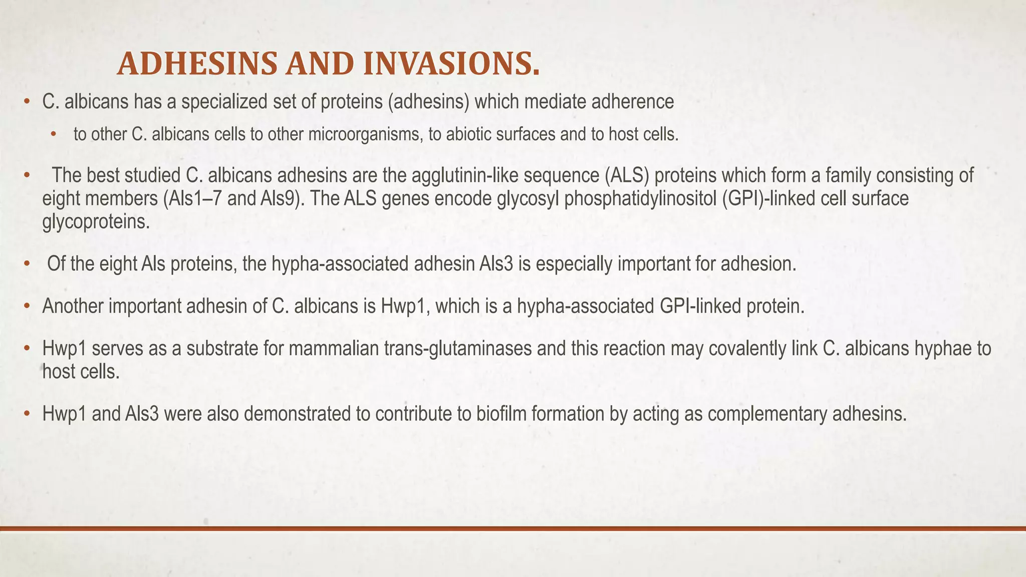 Candida albicans pathogenicity mechanisms.pptx 222222 | PPTX