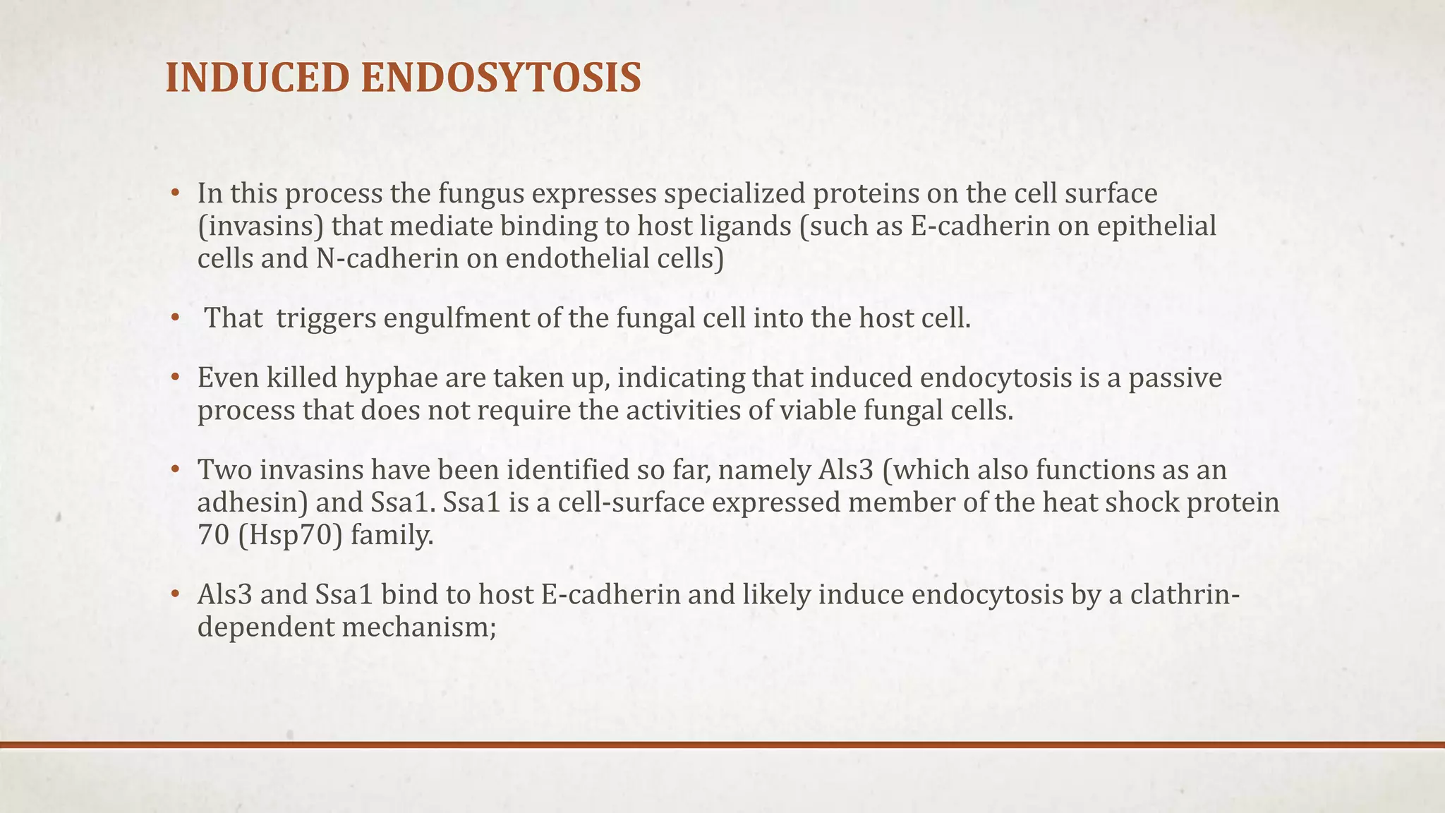 Candida albicans pathogenicity mechanisms.pptx 222222 | PPTX