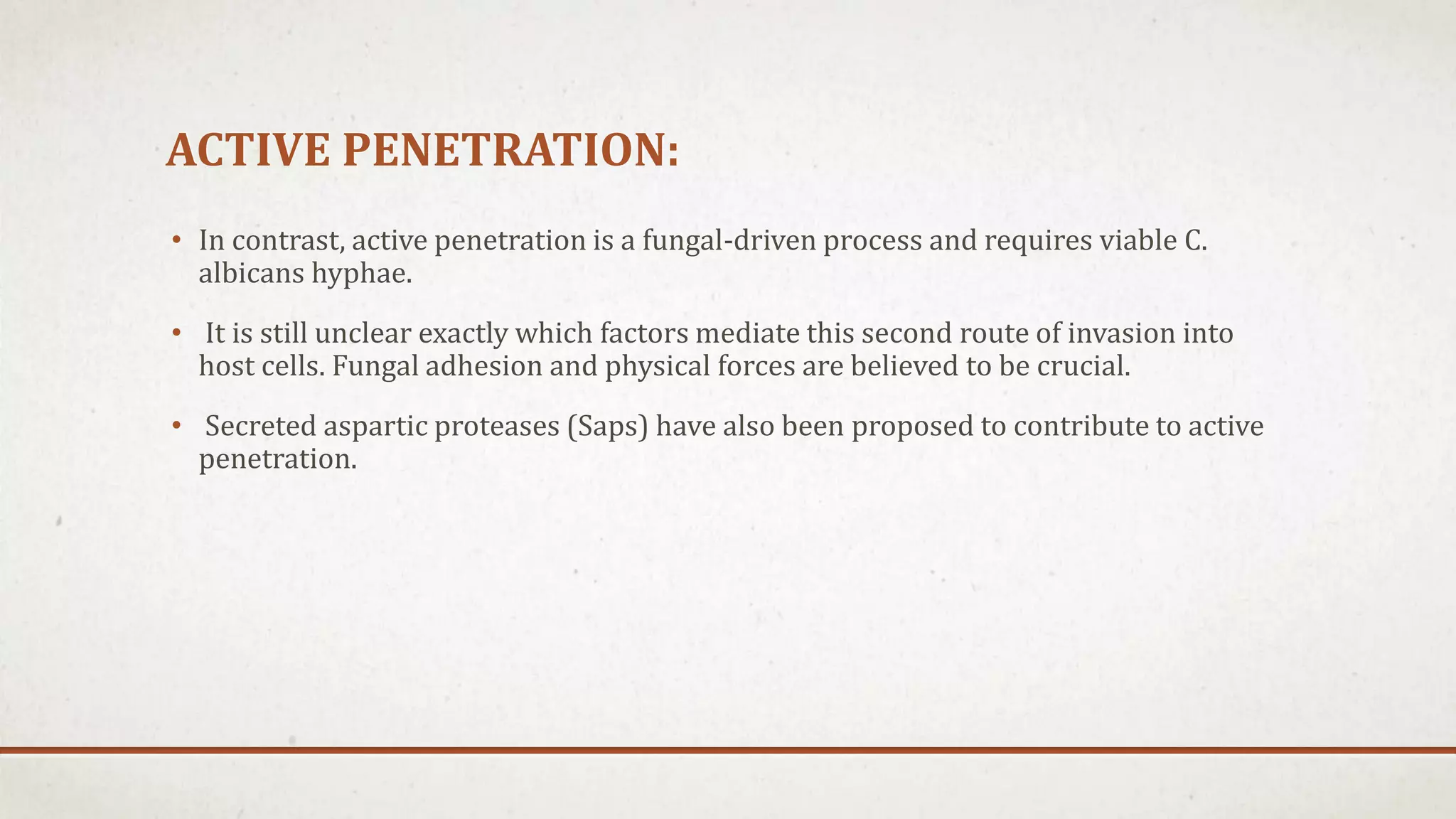 Candida albicans pathogenicity mechanisms.pptx 222222 | PPTX