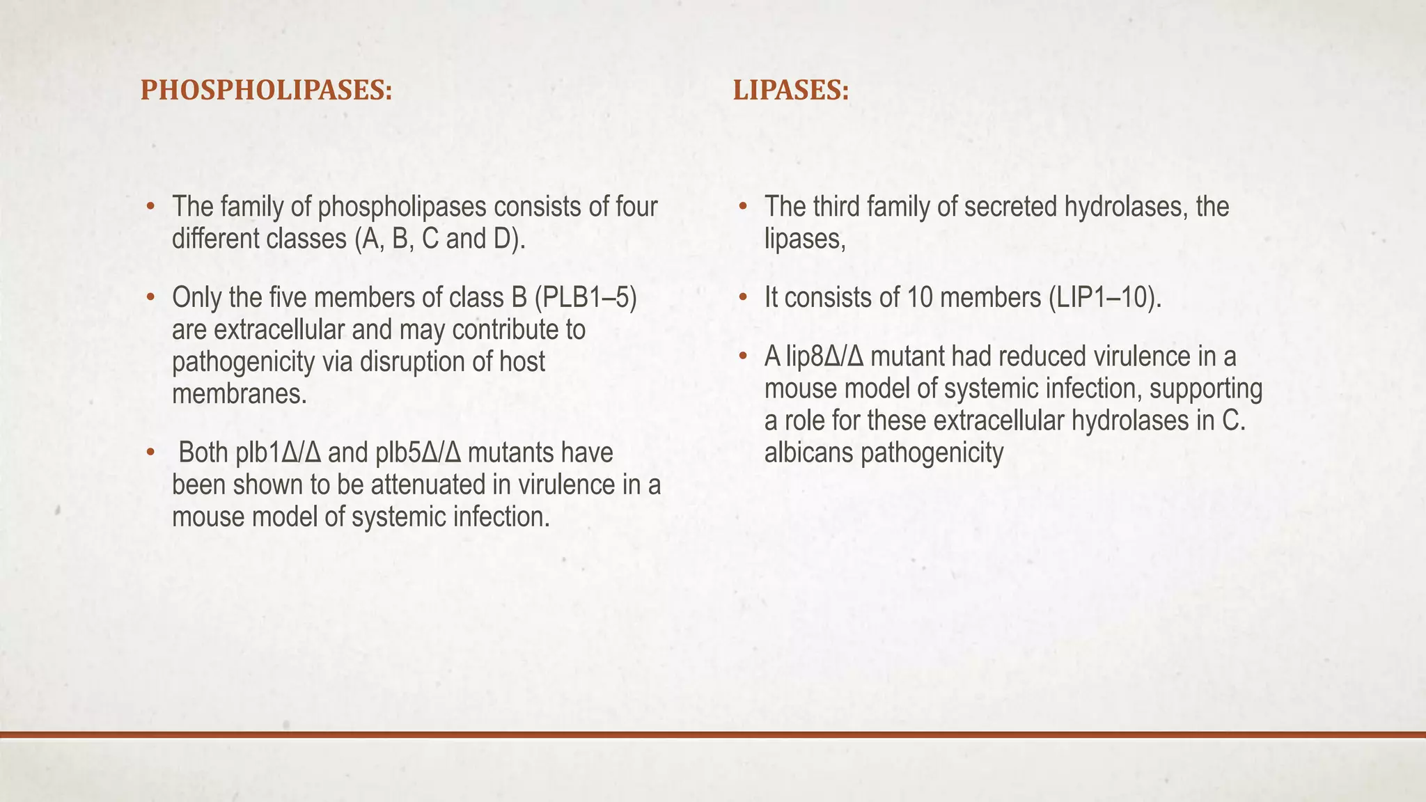 Candida albicans pathogenicity mechanisms.pptx 222222 | PPTX ...