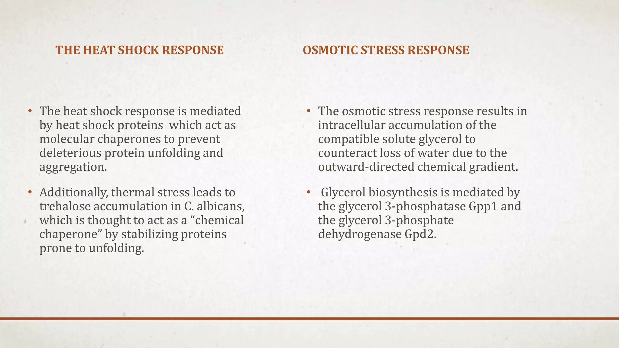 Candida albicans pathogenicity mechanisms.pptx 222222 | PPTX