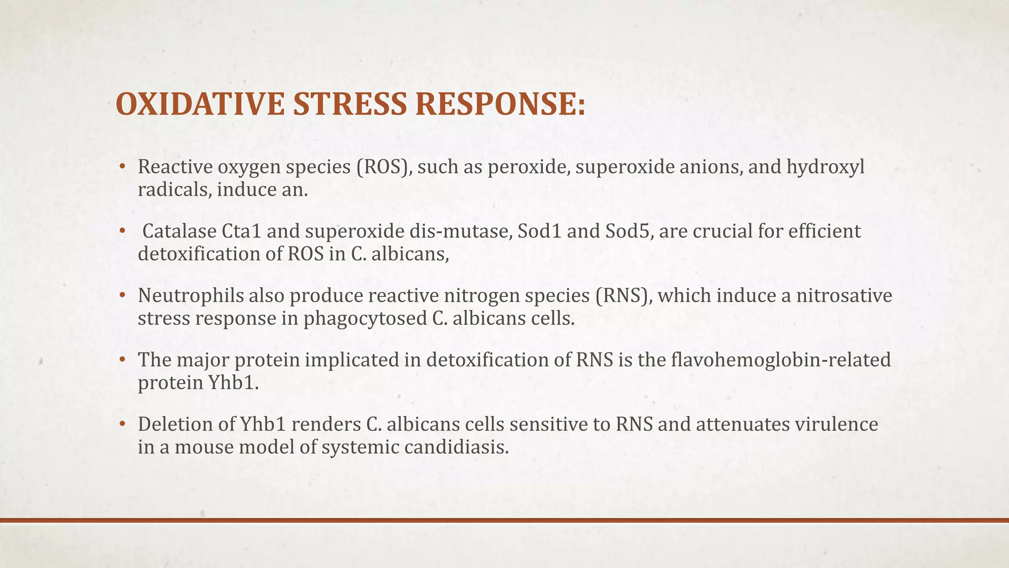 Candida albicans pathogenicity mechanisms.pptx 222222 | PPTX