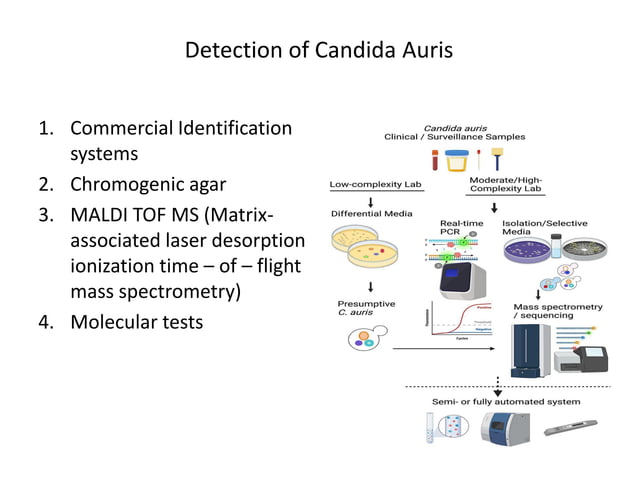 Candida Auris Detection, Prevention and Management.pdf | Infectious ...