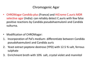 Candida Auris Detection, Prevention and Management.pdf