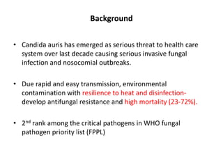 Candida Auris Detection, Prevention and Management.pdf