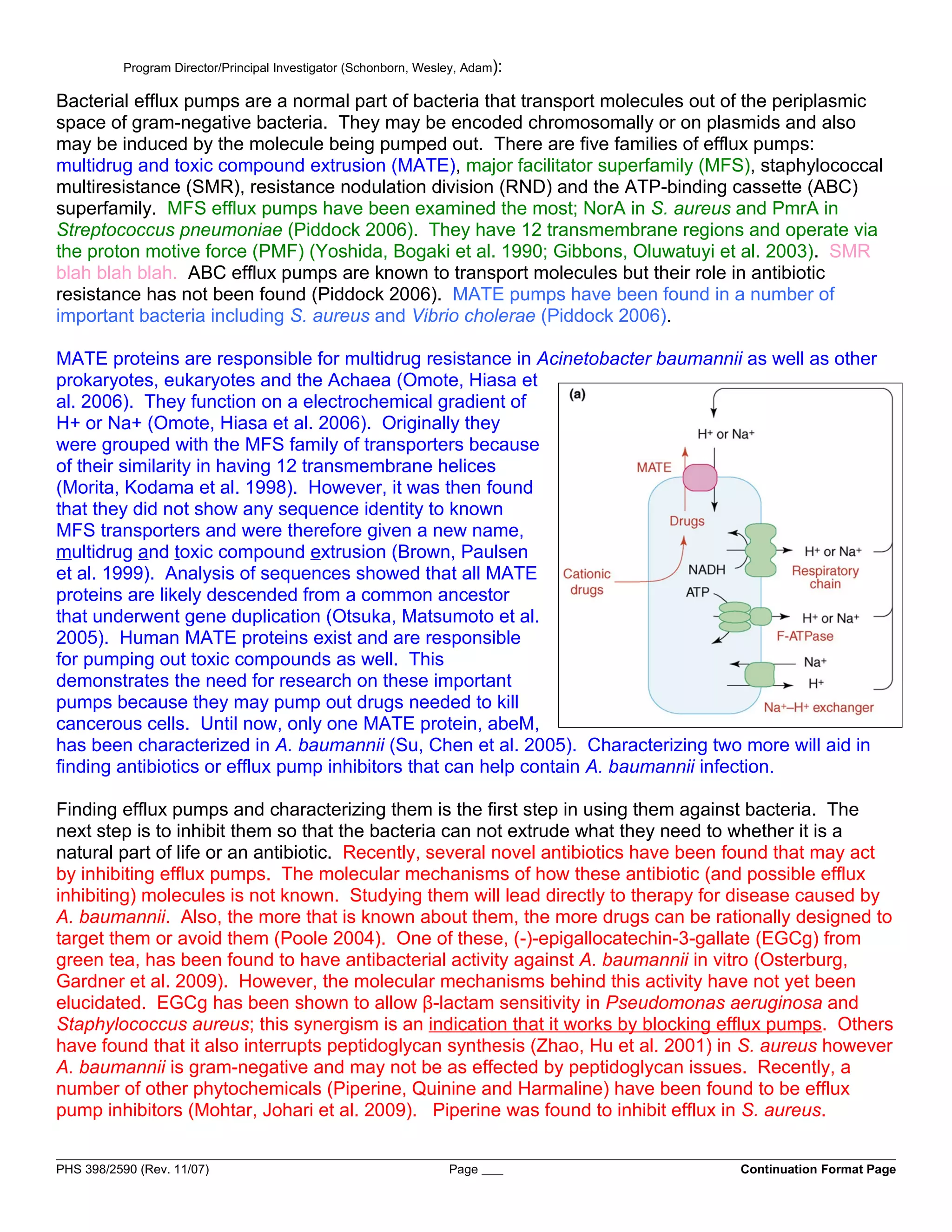 Candidacy Proposal | DOC