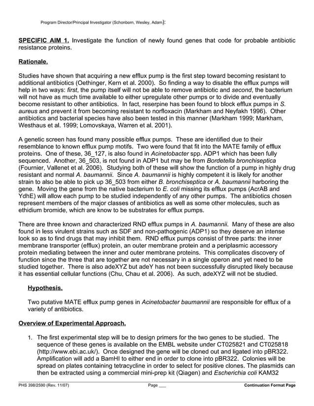 Candidacy Proposal | PDF