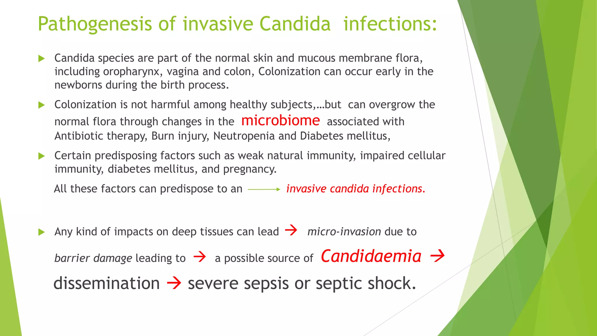 Candida in icu and diagnosis DR M.L. PRASHANTH MD IDCCM | PPTX