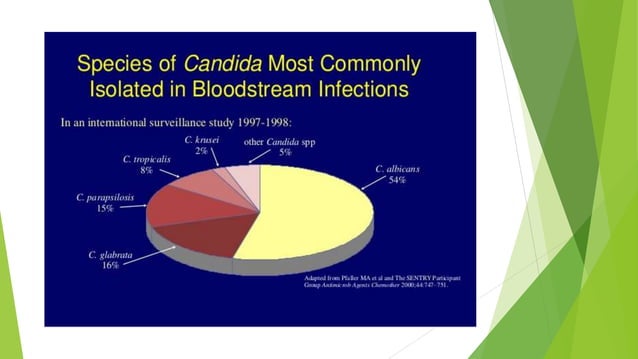 Candida in icu and diagnosis DR M.L. PRASHANTH MD IDCCM | PPTX