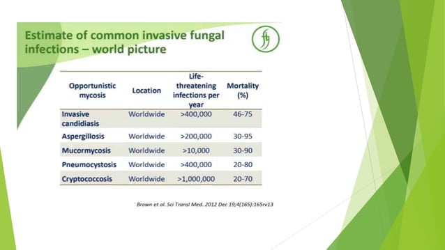 Candida in icu and diagnosis DR M.L. PRASHANTH MD IDCCM | PPT