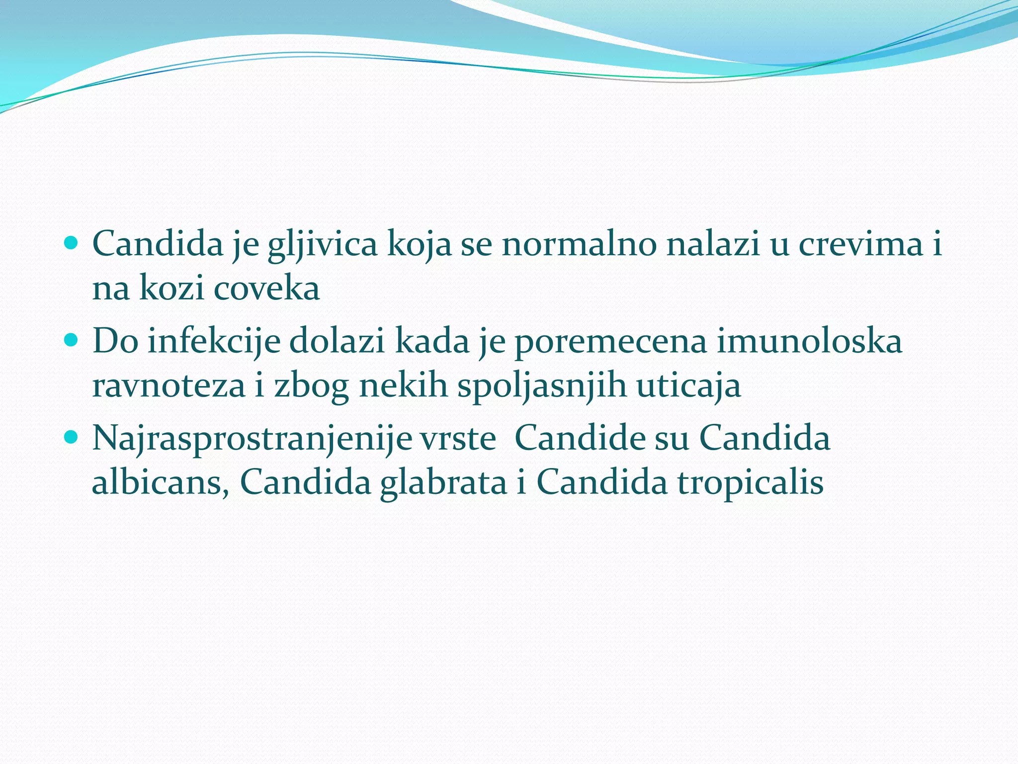 Candida Katarina Sekulic | PPTX