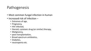 Candida pathogen.pptx | Skin and Dermatology | Diseases and Conditions