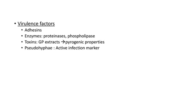 Candida pathogen.pptx | Skin and Dermatology | Diseases and Conditions