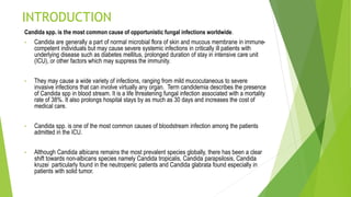 Candida Score-2.pptx