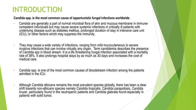 Candida Score-2.pptx