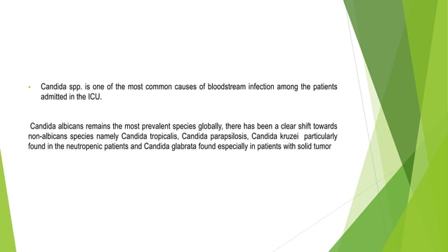Candida Score-5.pptx | Infectious Diseases | Diseases and Conditions
