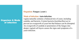 candidasis ( monilia vaginitis).pptx