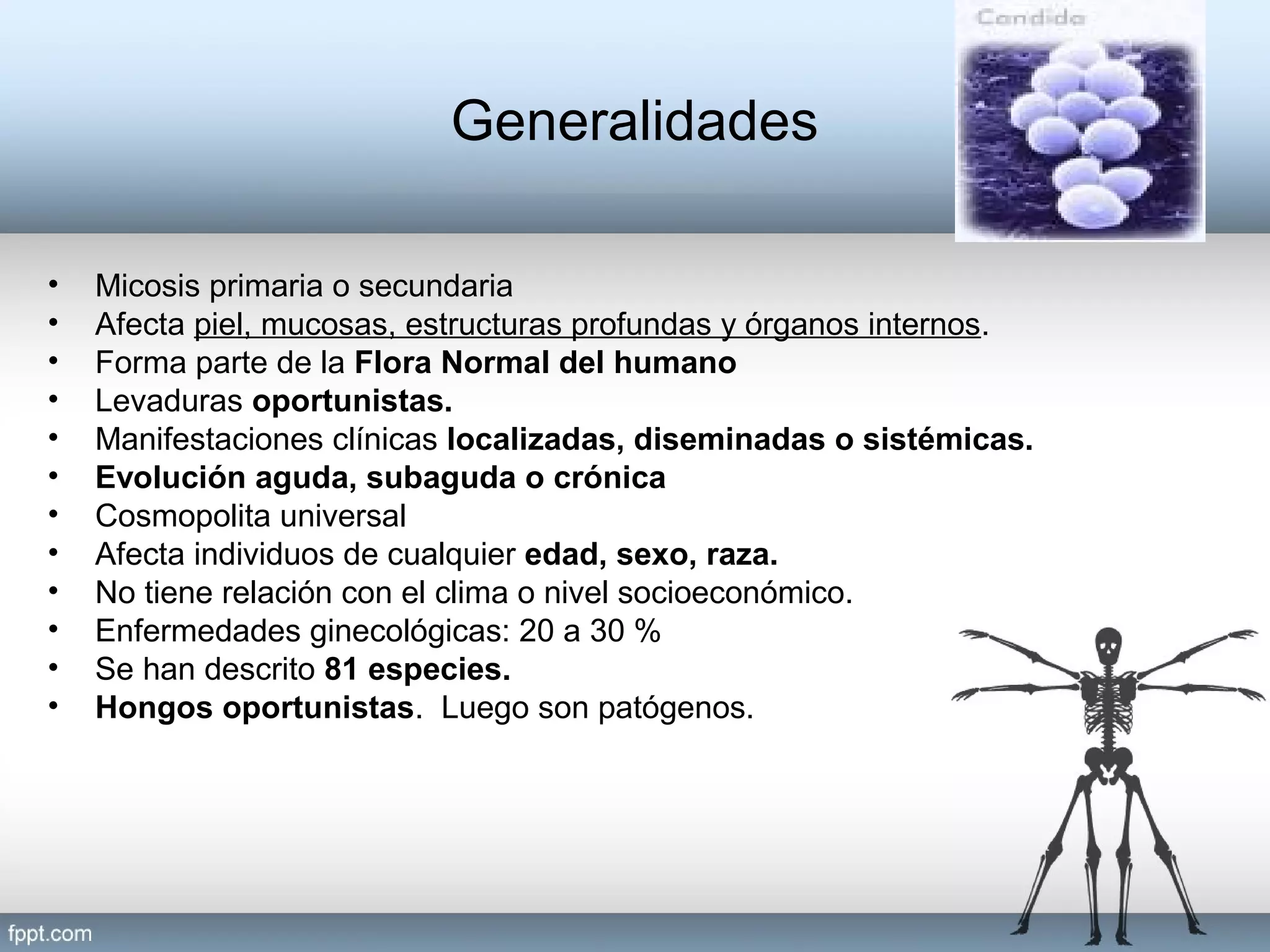 Candida y criptococosis micro 14 | PPT