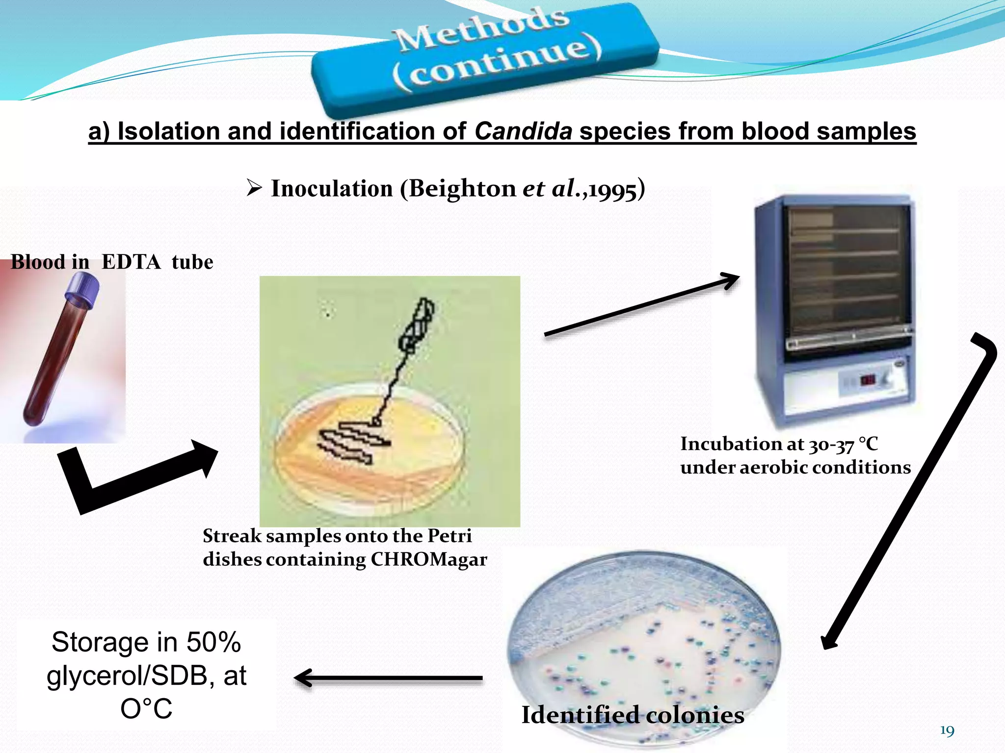 Candidemia in HIV-positive patients in Dschang District Hospital (West ...
