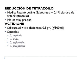 Candidiasis | PPT