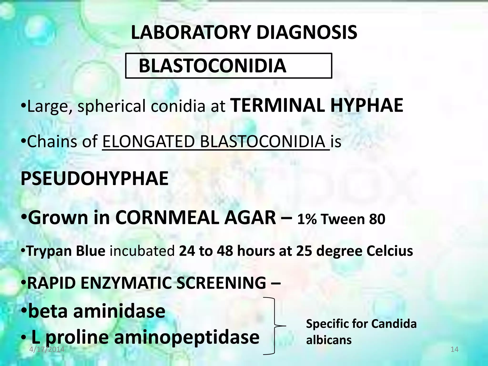Candidiasis, Moniliasis, Oral thrush, Yeast infections | PPTX