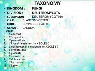 Candidiasis, Moniliasis, Oral thrush, Yeast infections | PPT