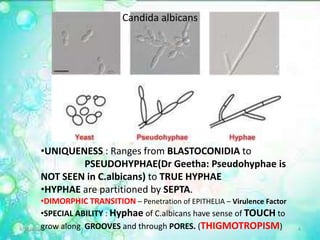Candidiasis, Moniliasis, Oral thrush, Yeast infections | PPTX