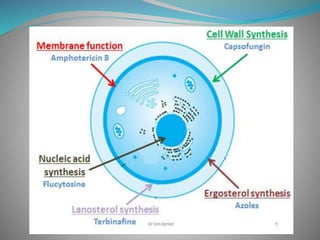 Candidiasis | PPTX