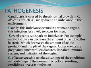 Vaginal Candidiasis Slide