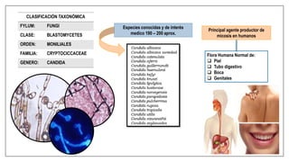 Candidiasis | PPTX