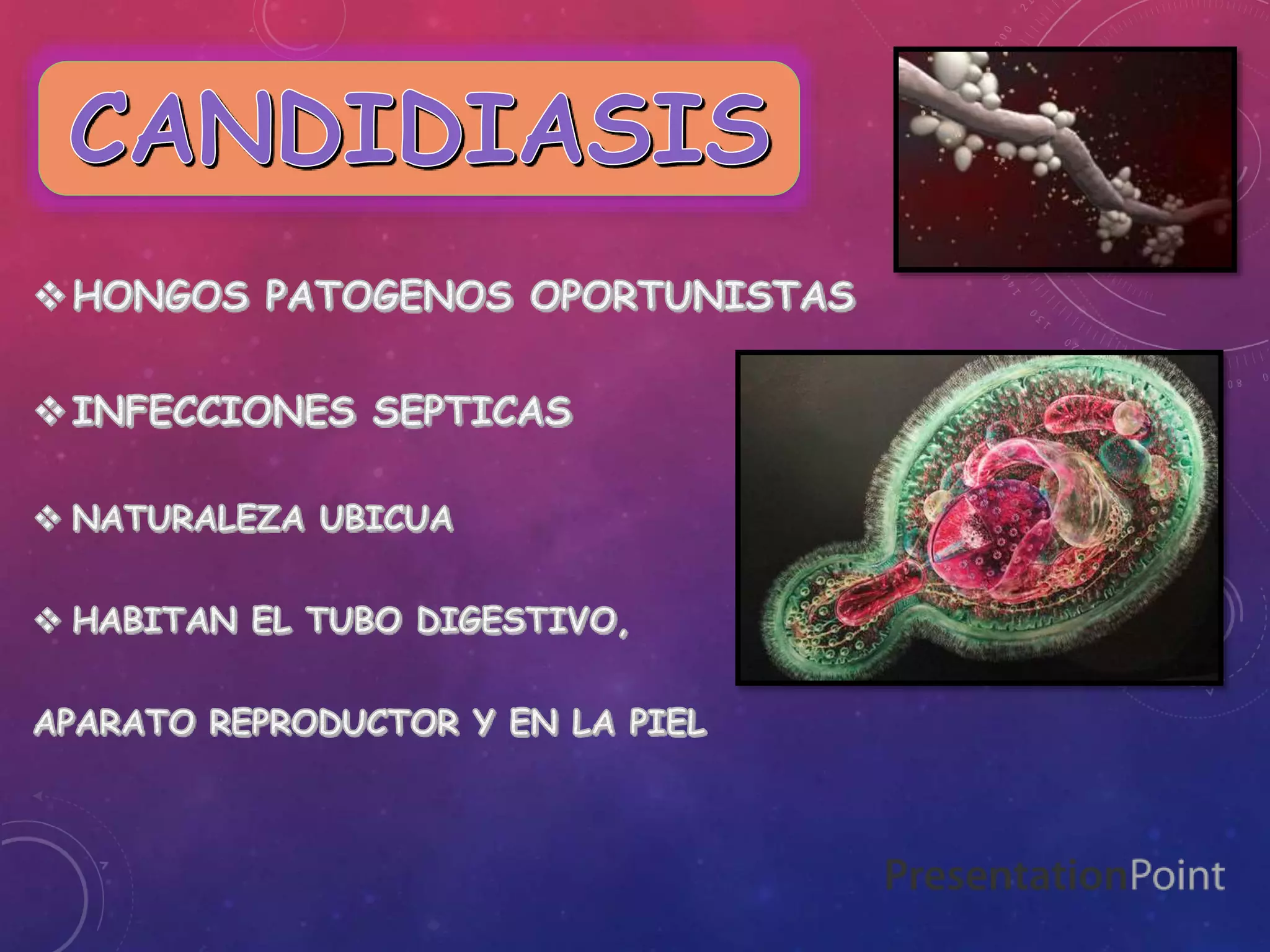 Candidiasis | PPT