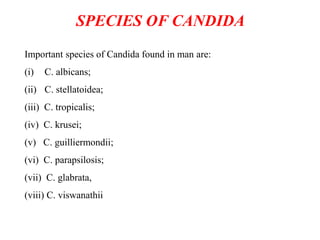 Candidiasis and its management in dentistry | PPTX
