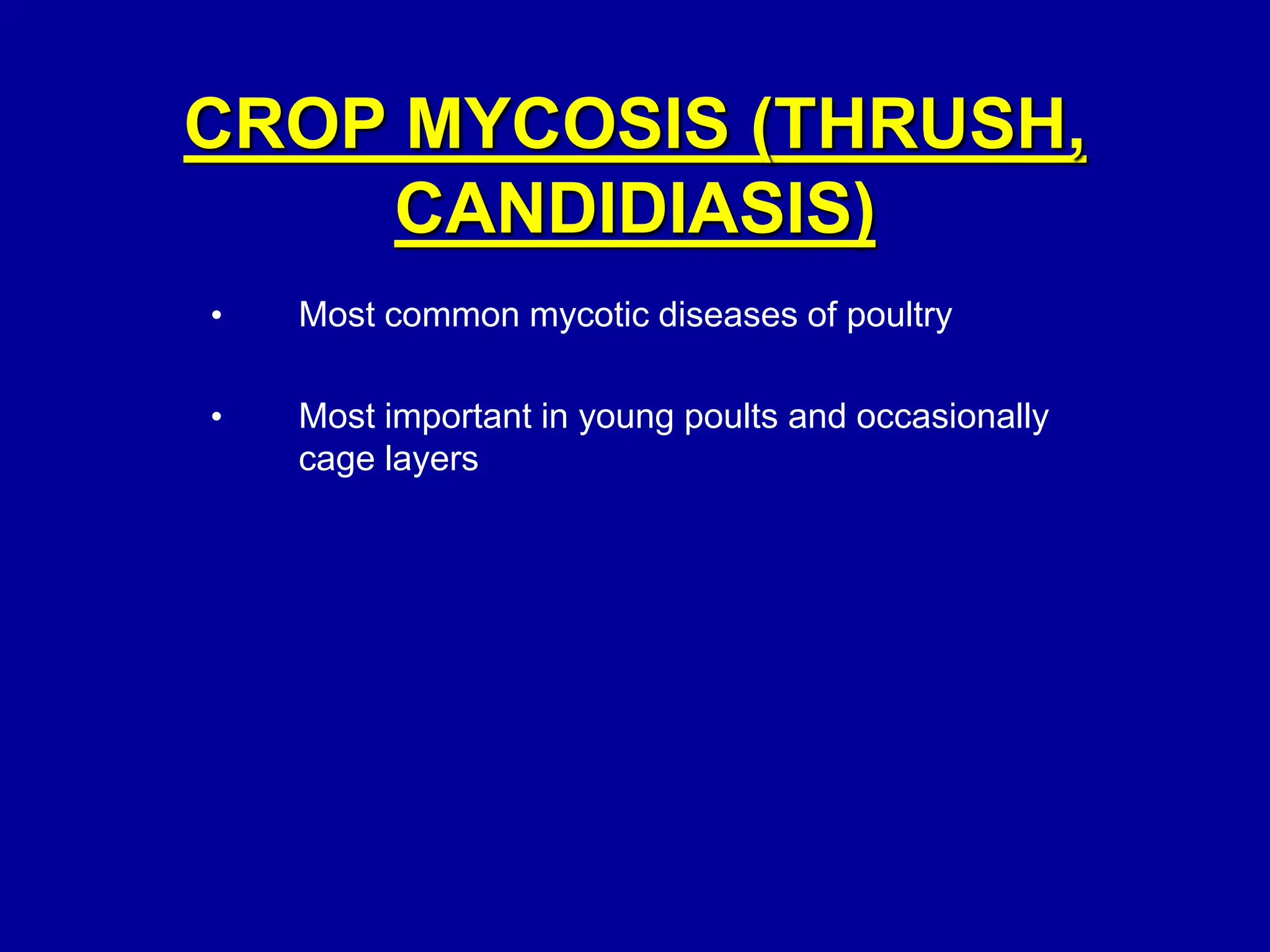 Candidiasis fungal disease crop site.ppt