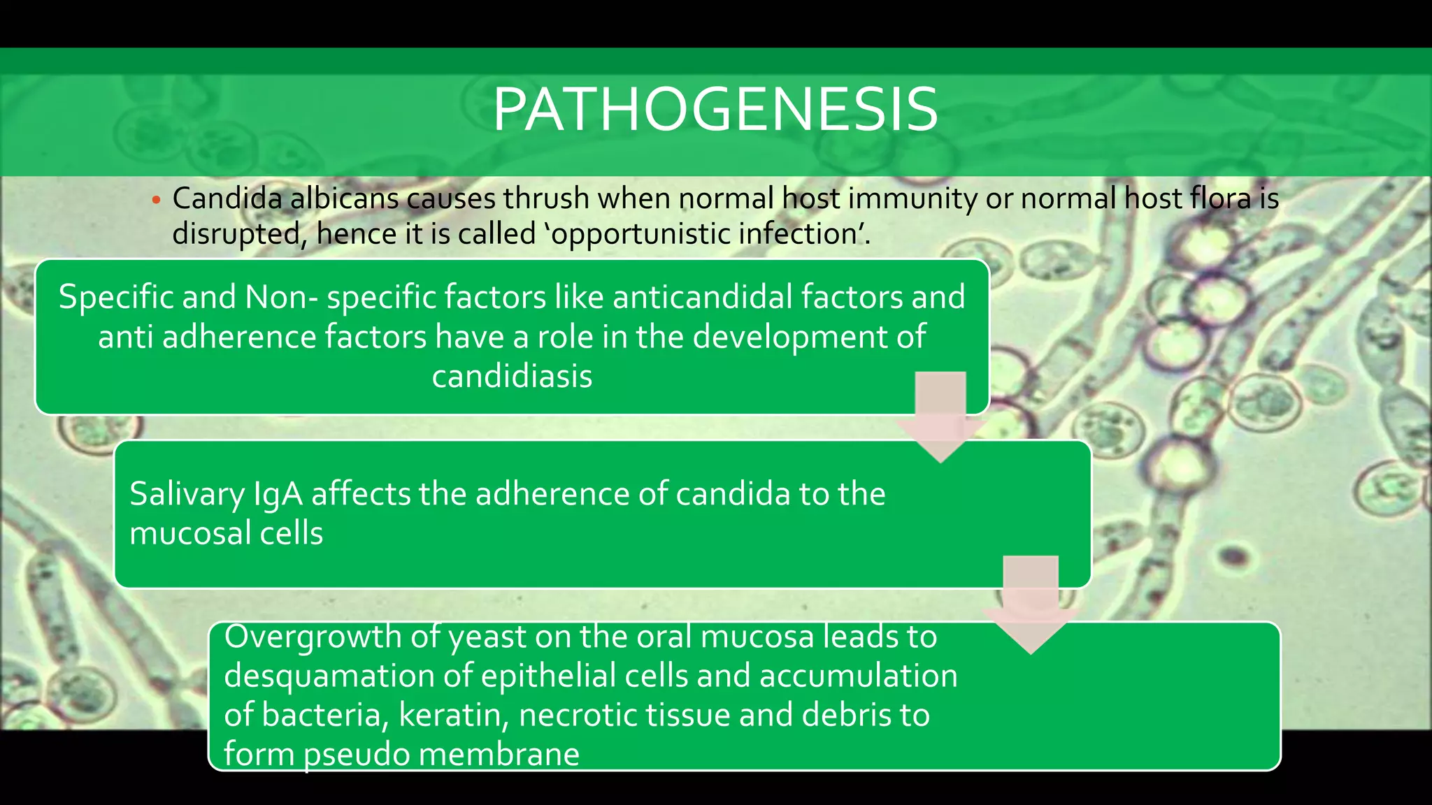 Candidiasis | PPTX
