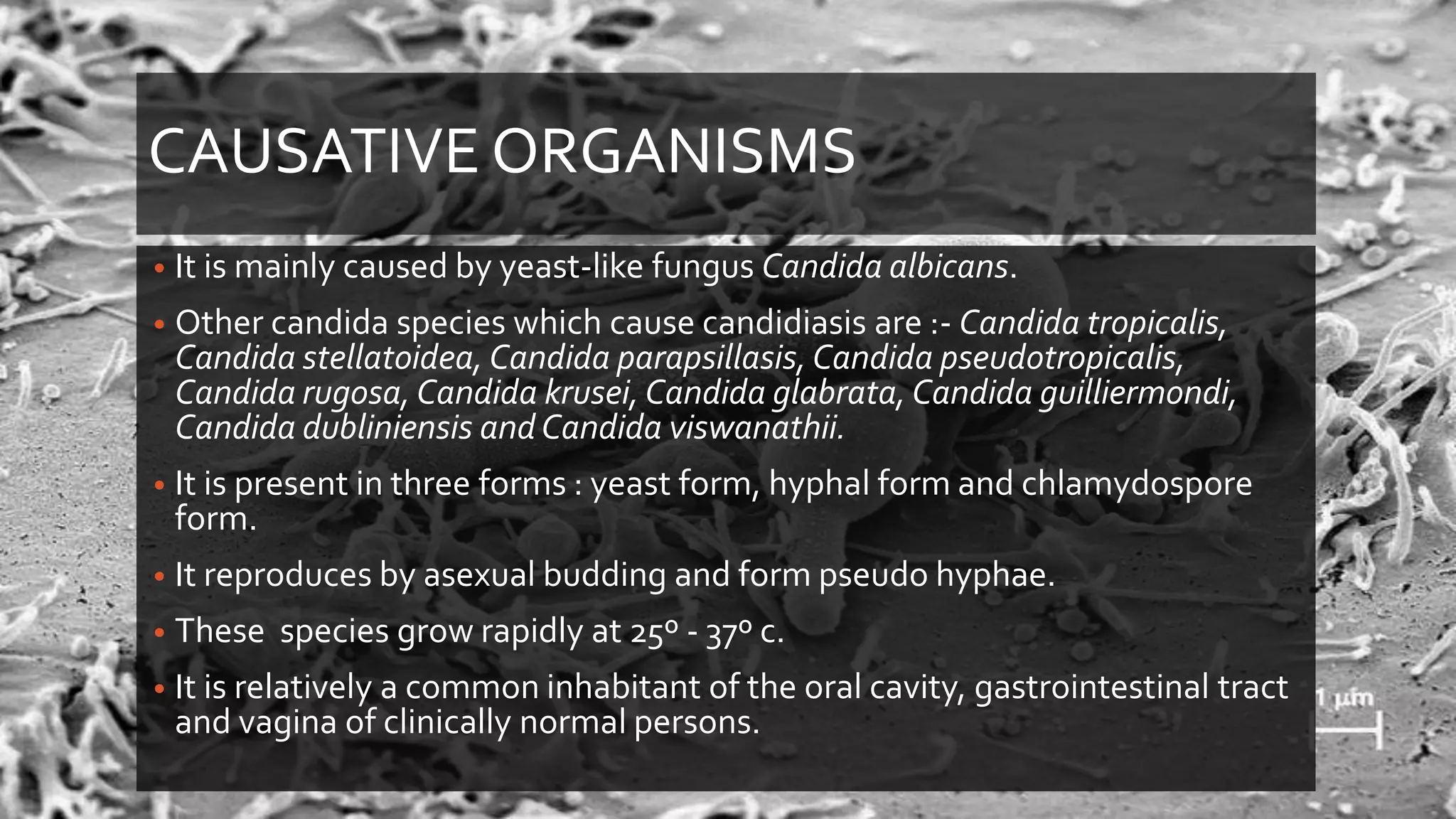 Candidiasis | PPTX