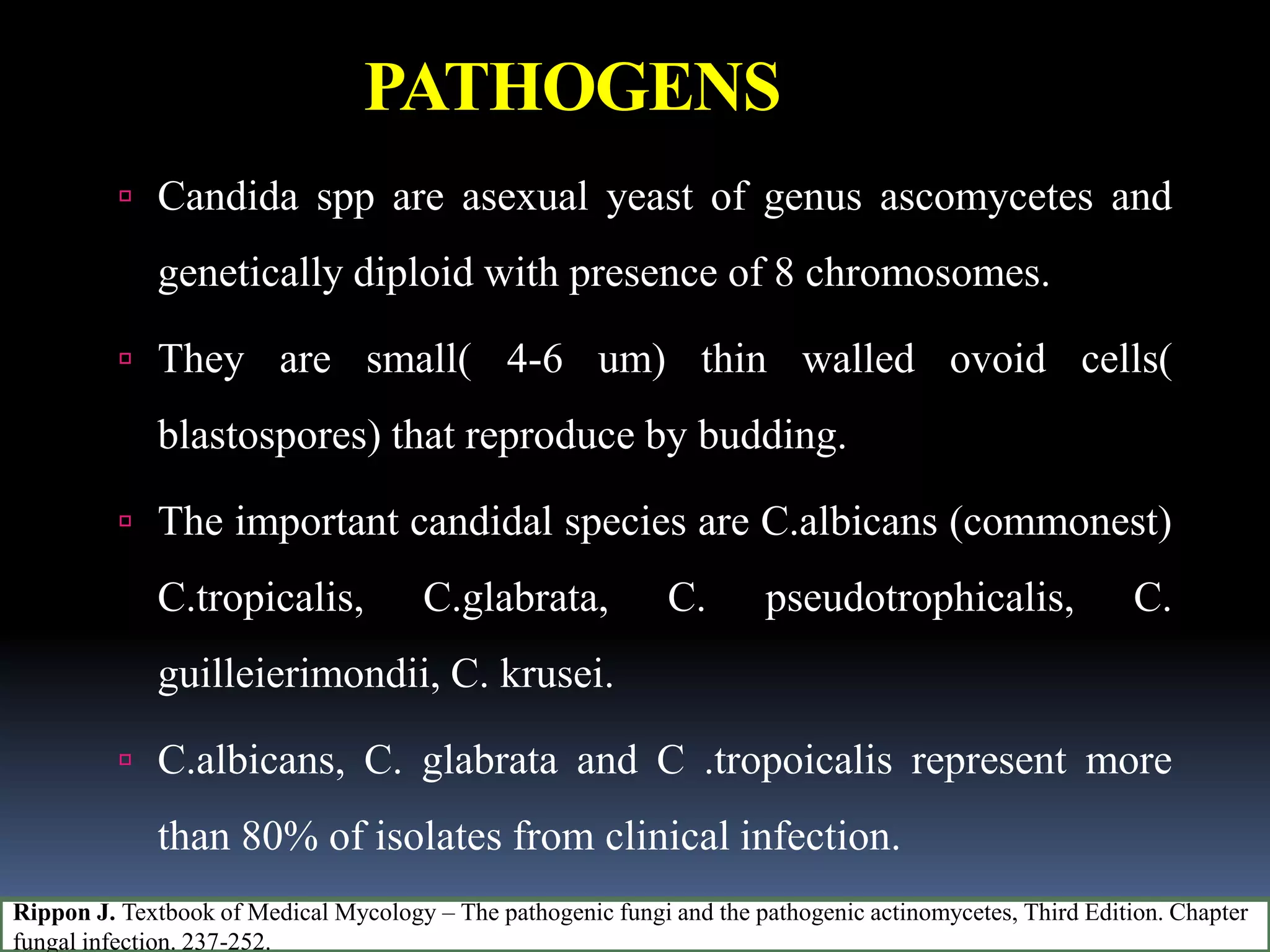 Candidiasis | PPT