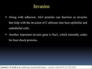Candidiasis | PPT