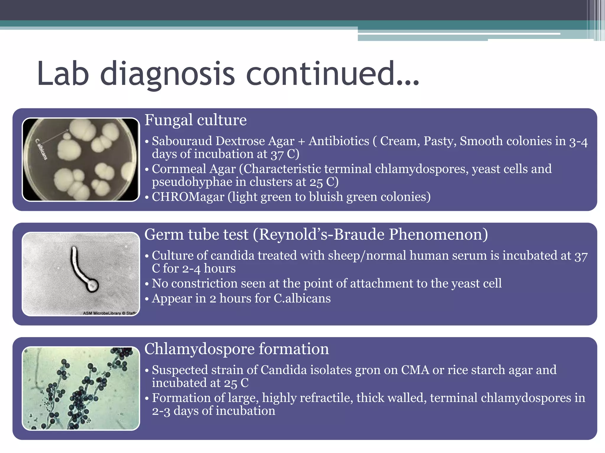 Candidiasis – clinical manifestations and lab diagnosis of oral ...