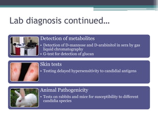 Candidiasis – clinical manifestations and lab diagnosis of oral ...