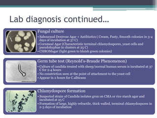 Candidiasis – clinical manifestations and lab diagnosis of oral ...