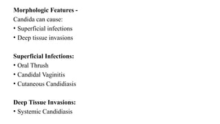 Candidiasis An overview Dr Rajesh Patil Sir.pptx