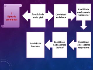 candidiasis ^FBiologia.pptx