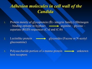 Candidiasis immunity | PPT